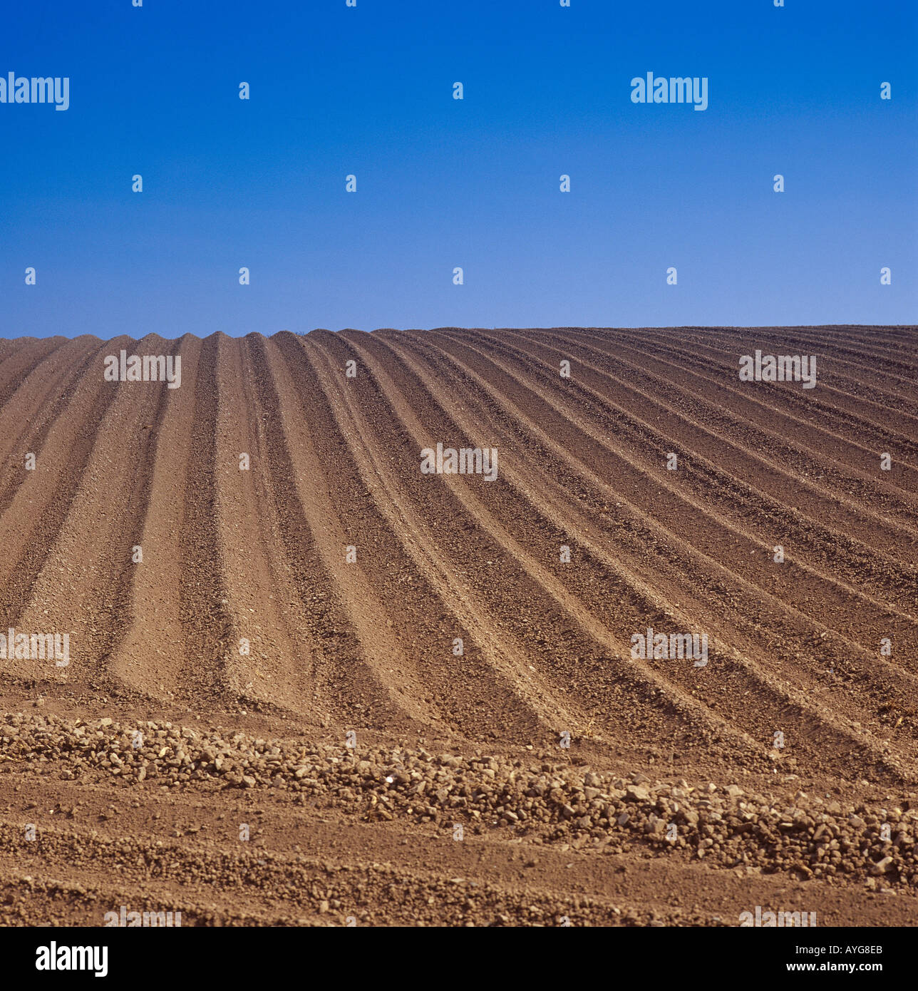 Furrows in Field Stock Photo - Alamy
