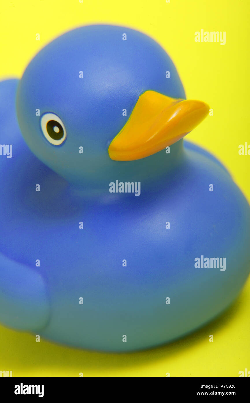 blue rubber duck Stock Photo - Alamy
