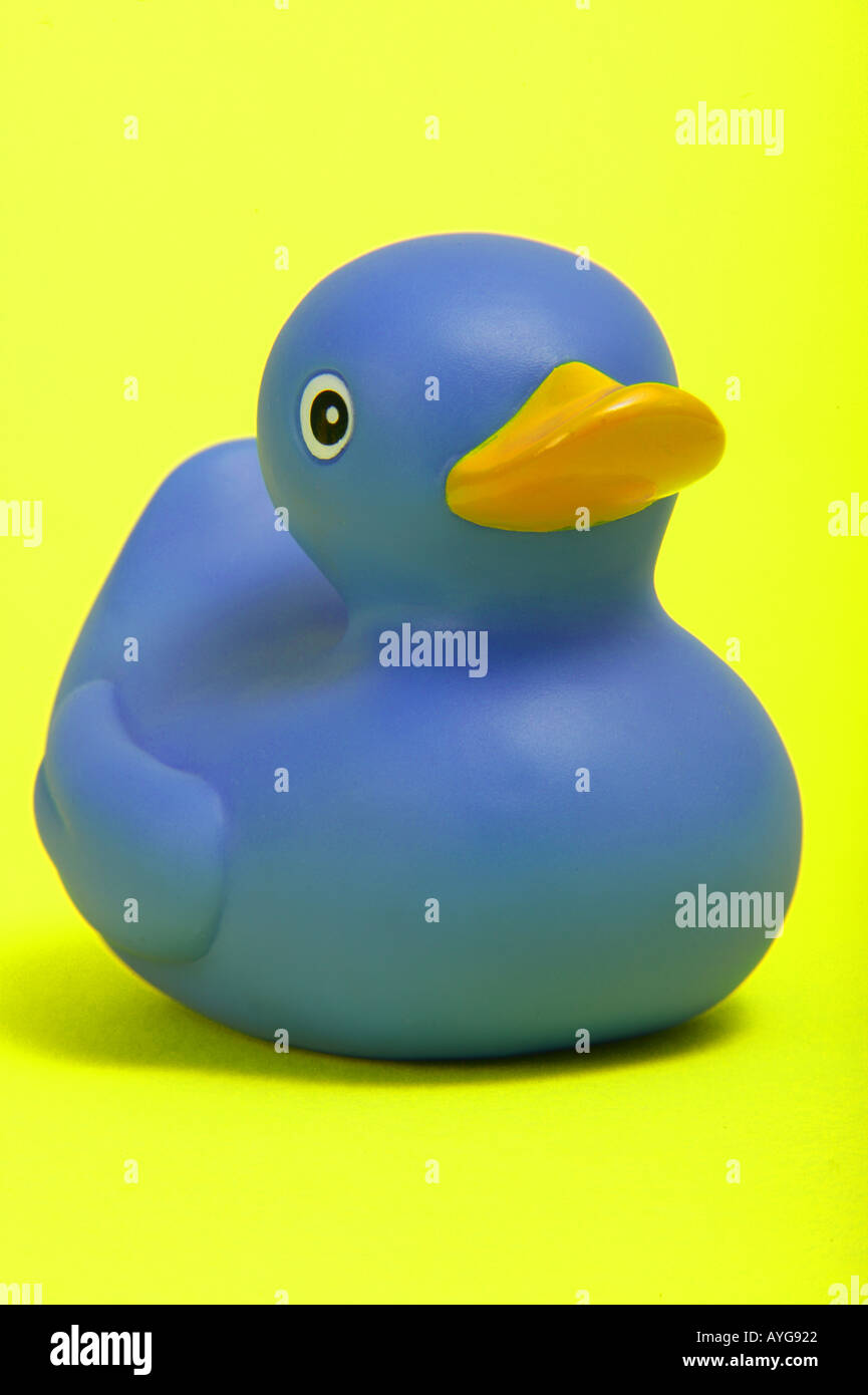 blue rubber duck Stock Photo - Alamy