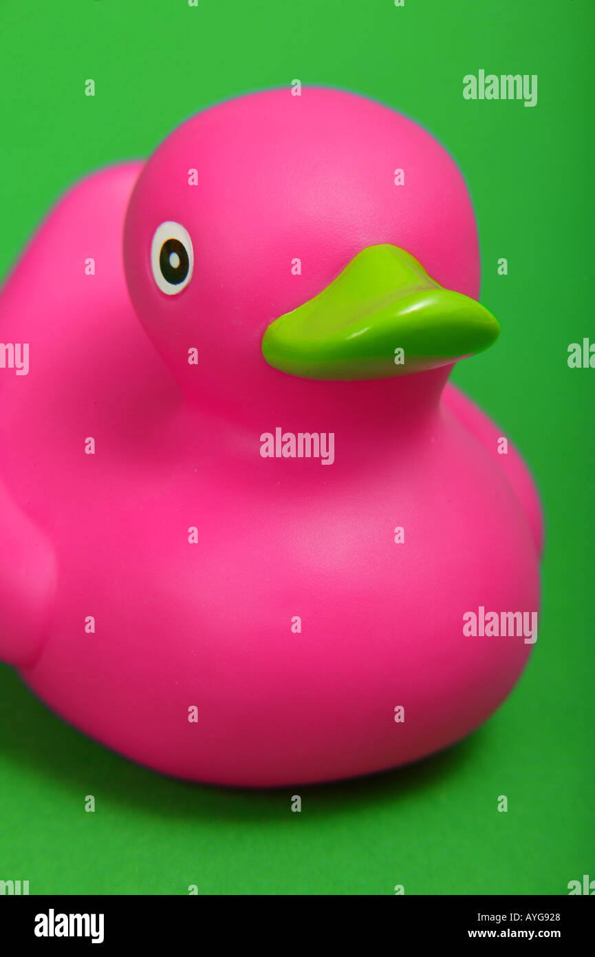 Pink rubber duck Stock Photo - Alamy