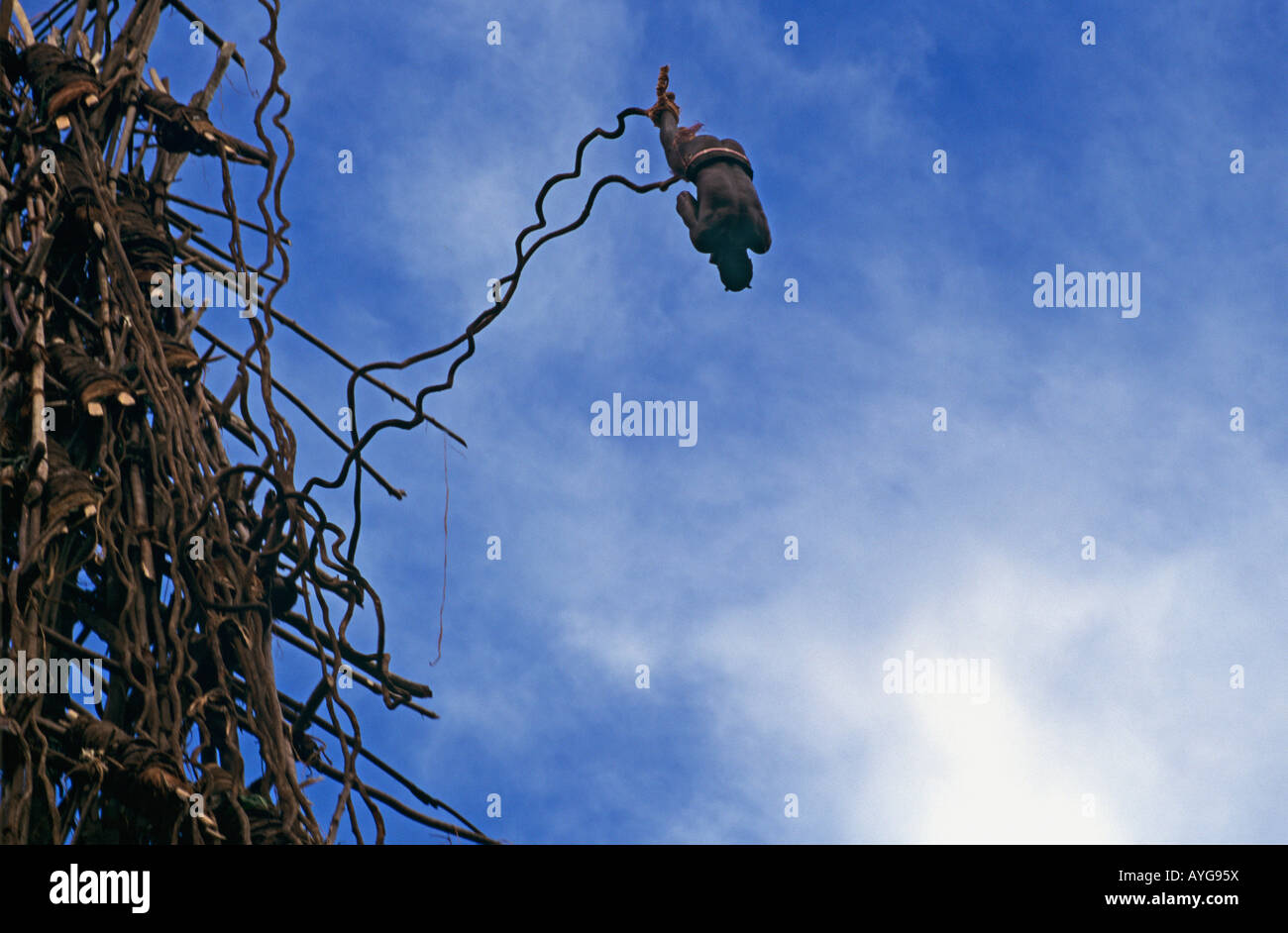 Pentecost land diving hi-res stock photography and images - Alamy