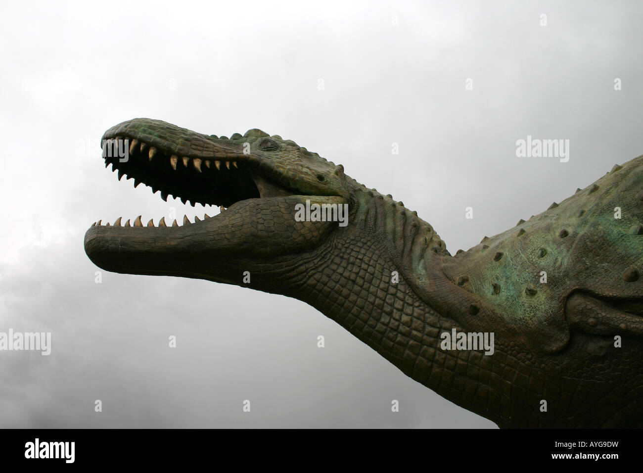 sculpture of dinosaur, profile, prehistoric Stock Photo - Alamy