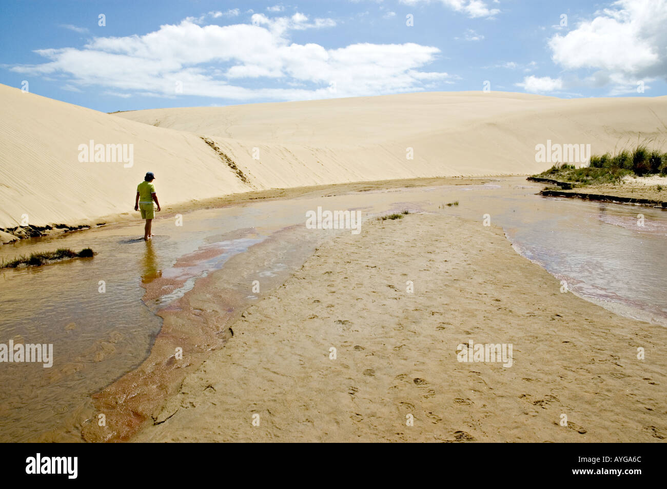 Te paki stream sand dunes Northland New Zealand Stock Photo - Alamy