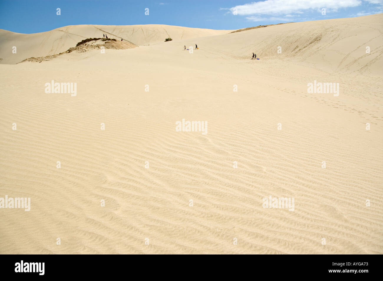 Te paki stream sand dunes Northland New Zealand Stock Photo - Alamy