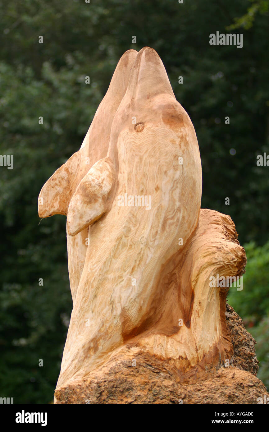 Tree stump and feature hi-res stock photography and images - Alamy