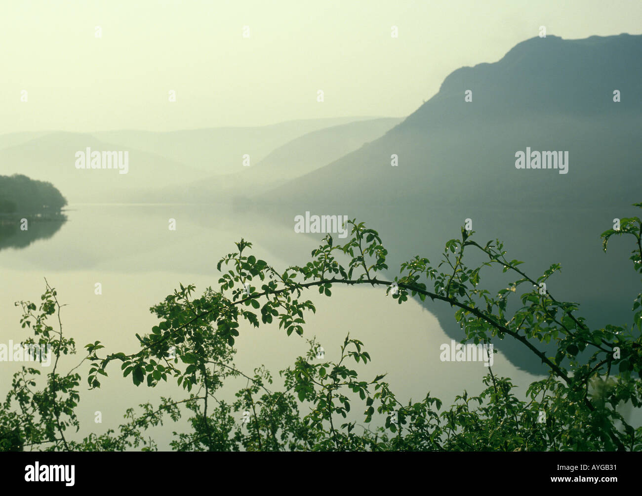 Silver point hi-res stock photography and images - Alamy