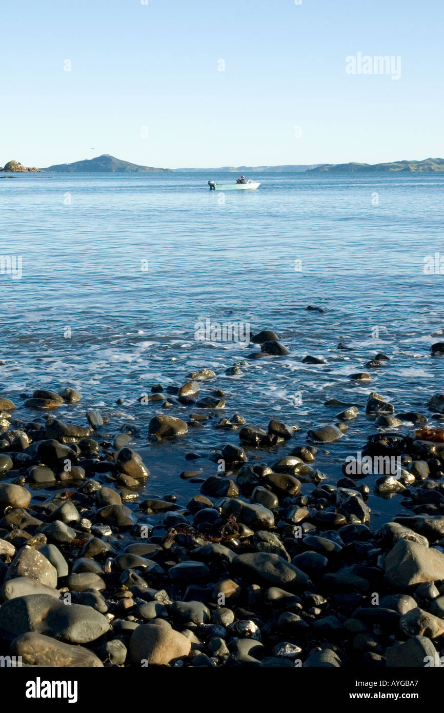 fisherman in boat Orere point Beach Stock Photo - Alamy