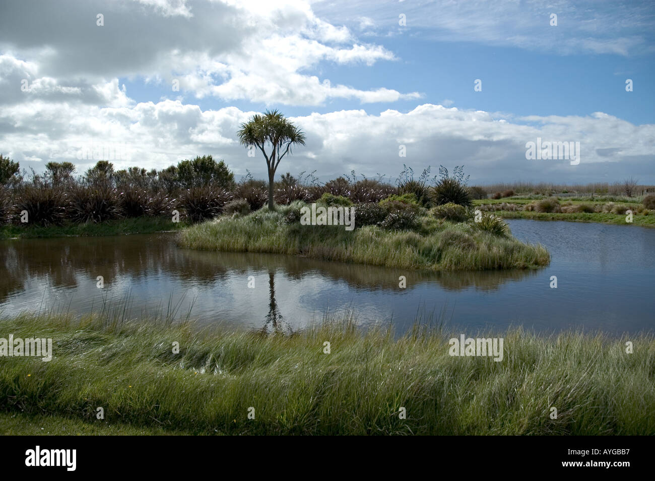 Maranda hi-res stock photography and images - Alamy