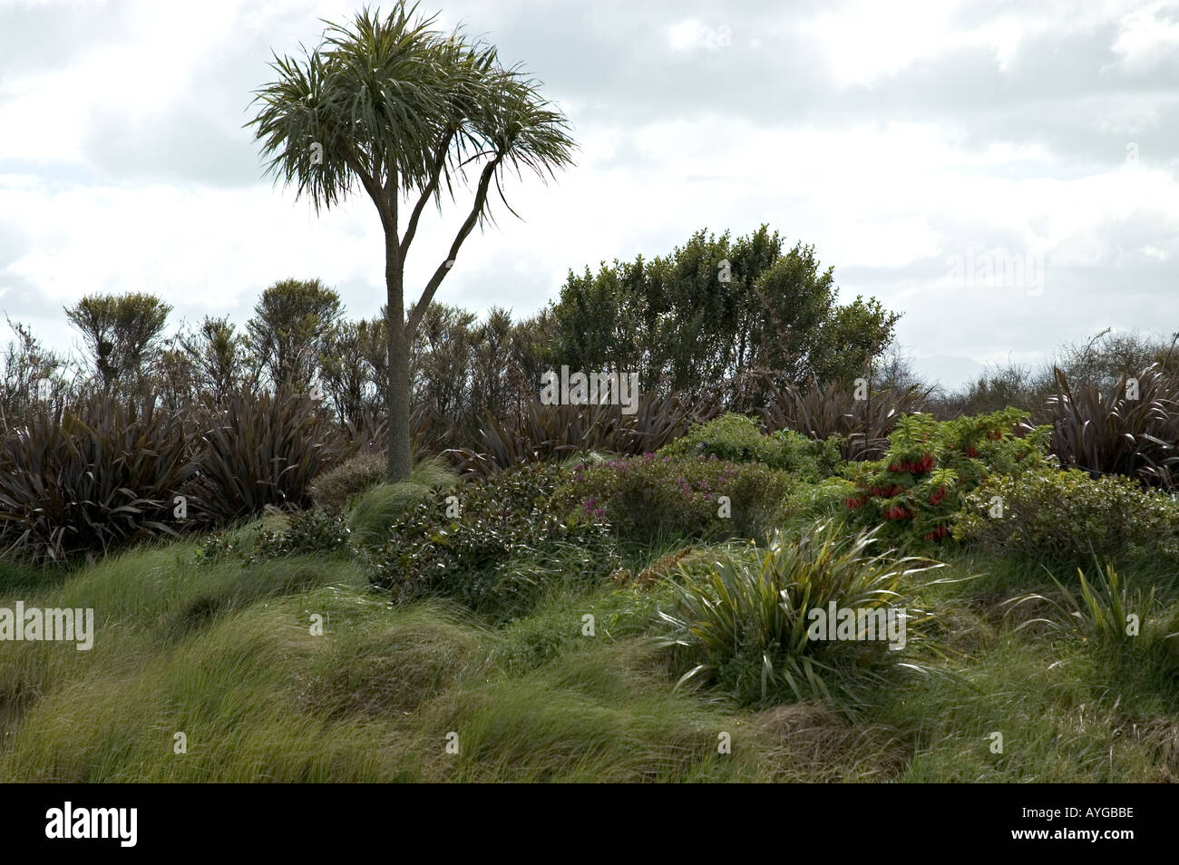 Maranda hi-res stock photography and images - Alamy