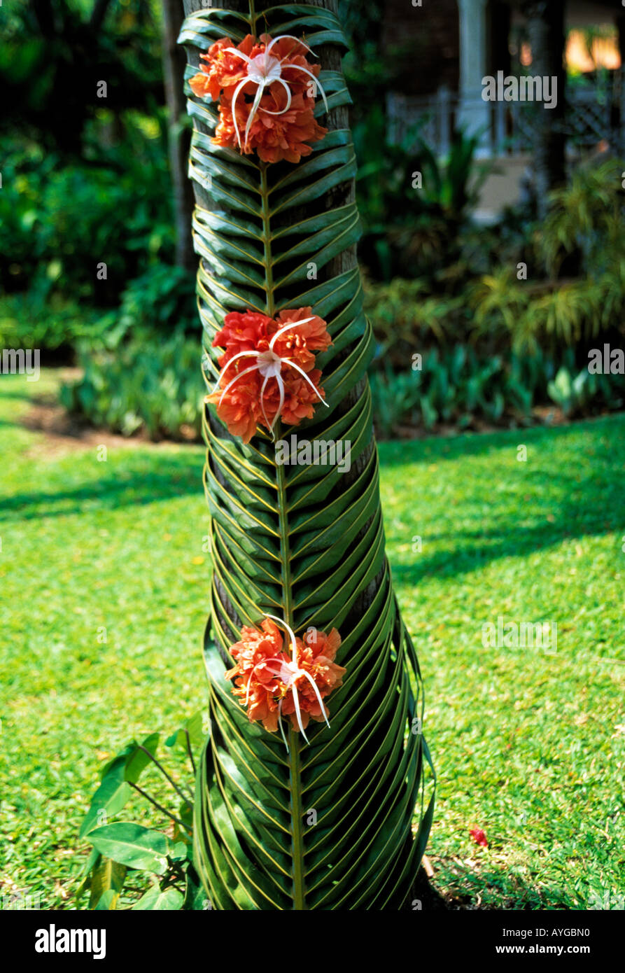 asia, south east asia, orient Stock Photo - Alamy
