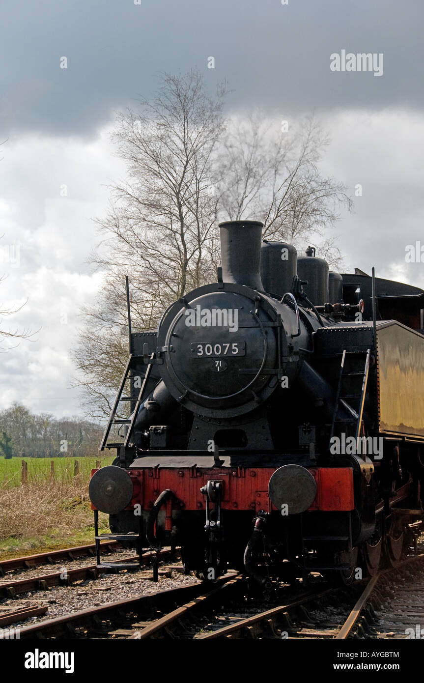 Duro USA Tank No.30075 steam train at East Somerset Railway Stock Photo ...