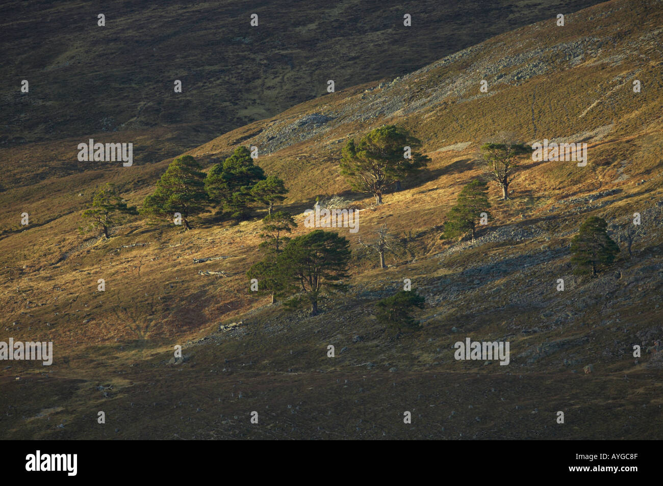Dee valley scotland hi-res stock photography and images - Alamy