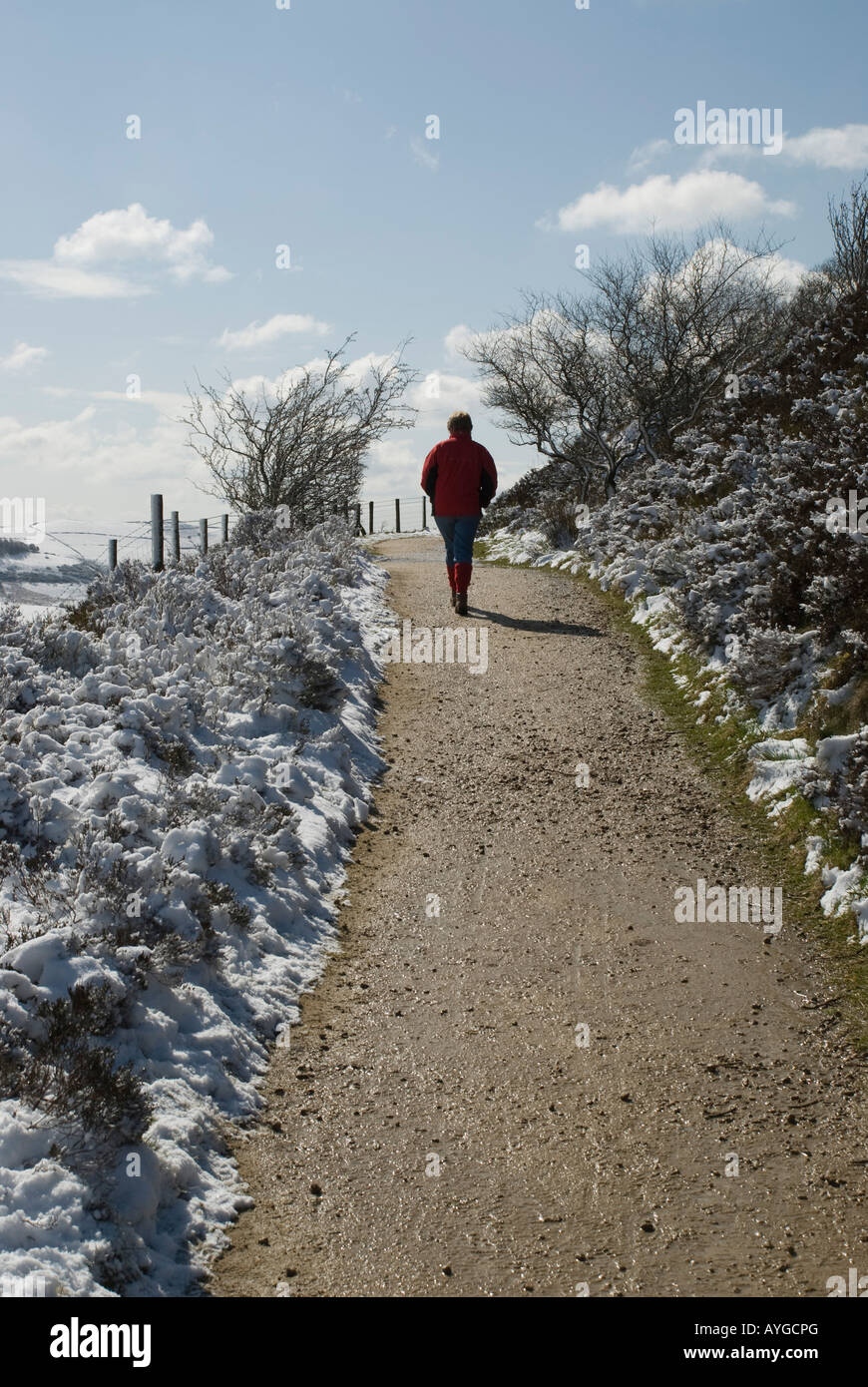 Woman in red top walking along path vertical in sunny snowy landscape ...