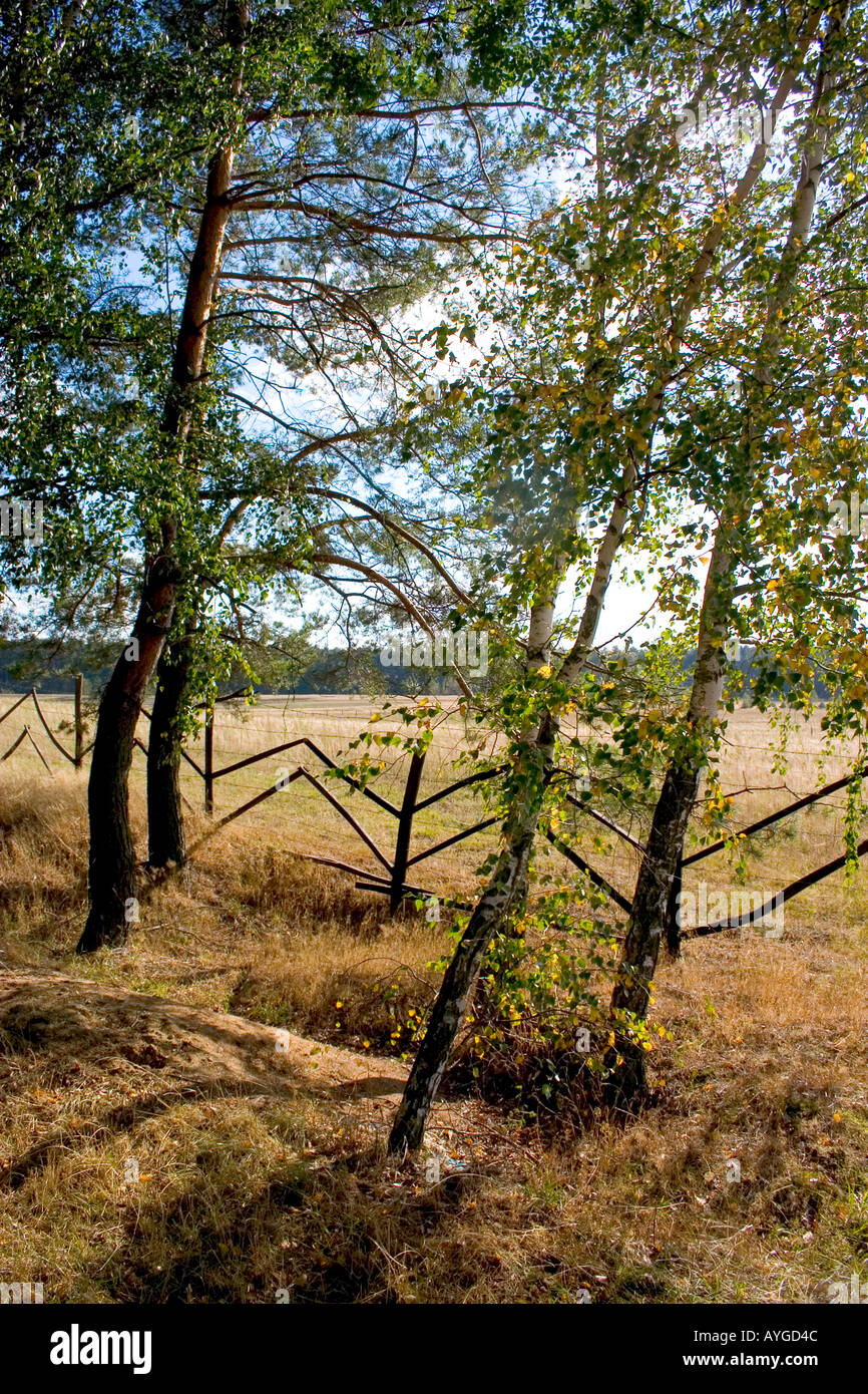 Artistic fence dividing farmer's fields with the Polish National Forest ...
