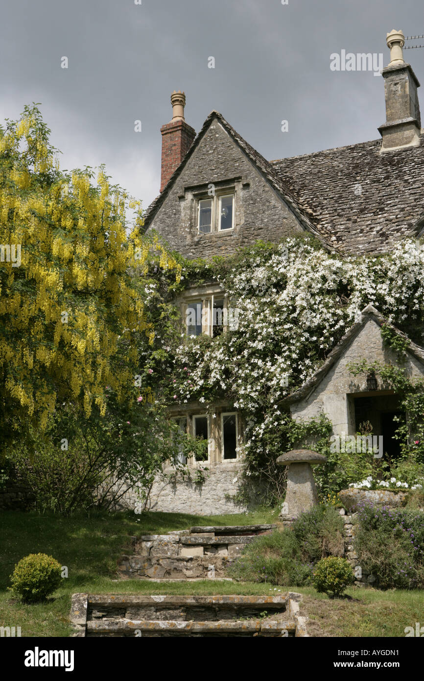 An old farmhouse with its Laburnum tree in the Cotswold village of ...