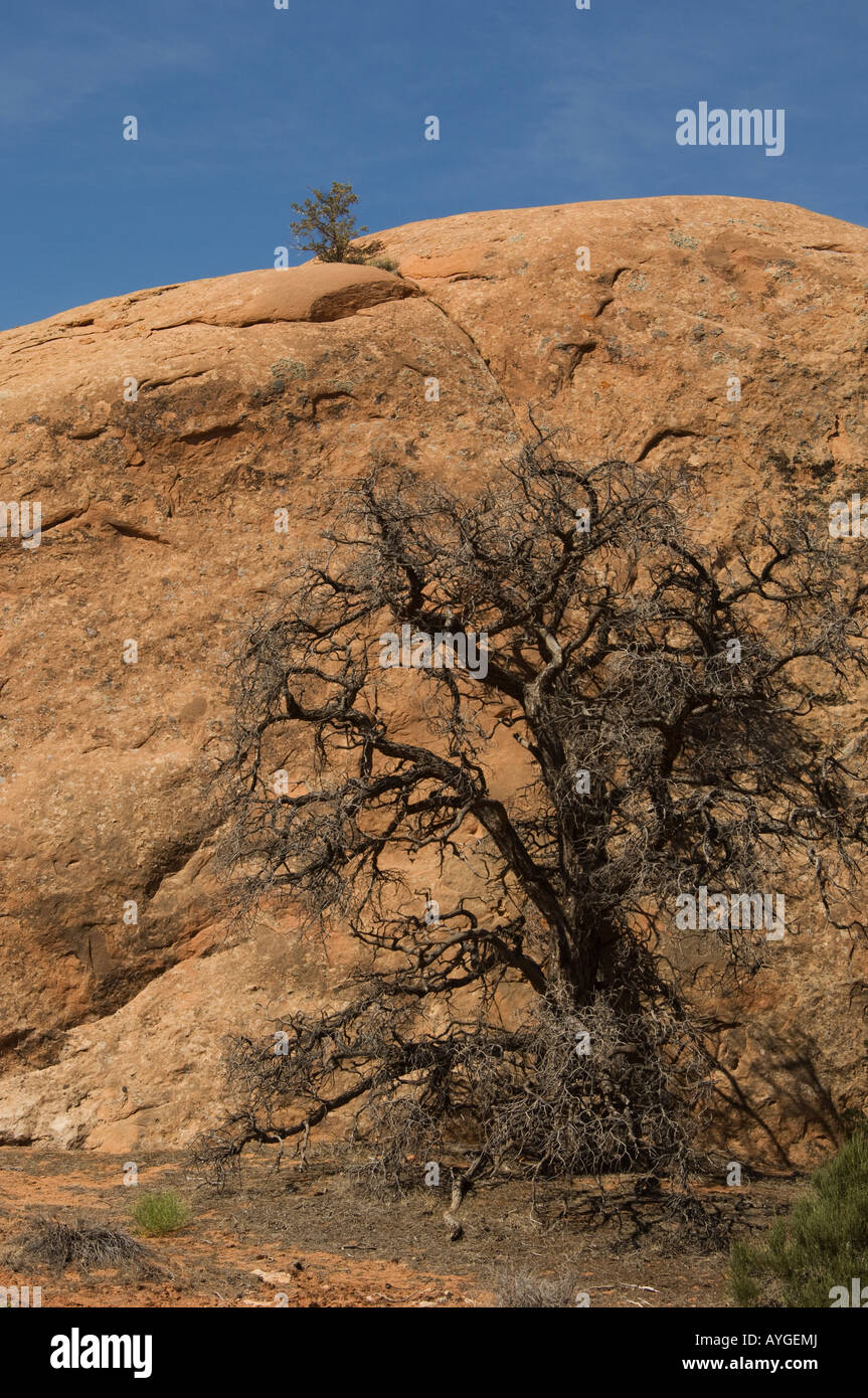 Amphitheater area Arches Stock Photo - Alamy