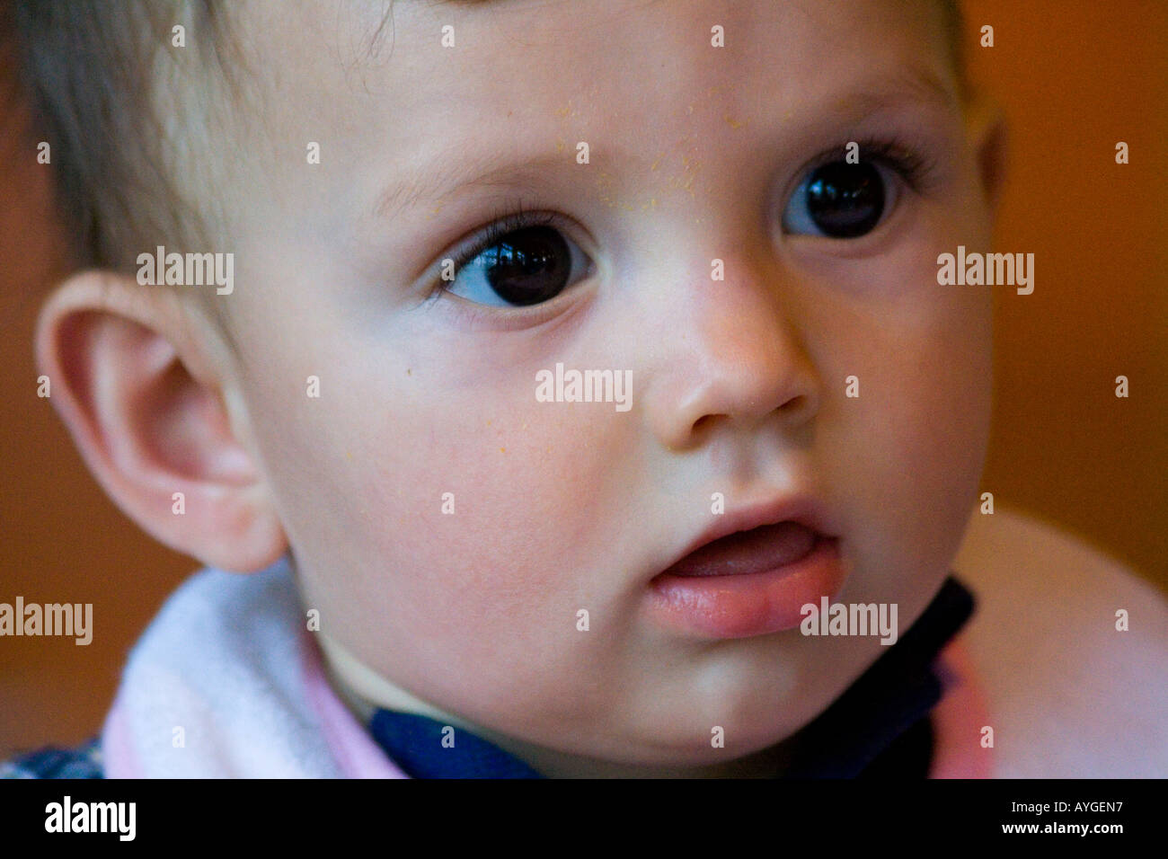 Closeup Portrait of the Face of a Baby Stock Photo - Alamy