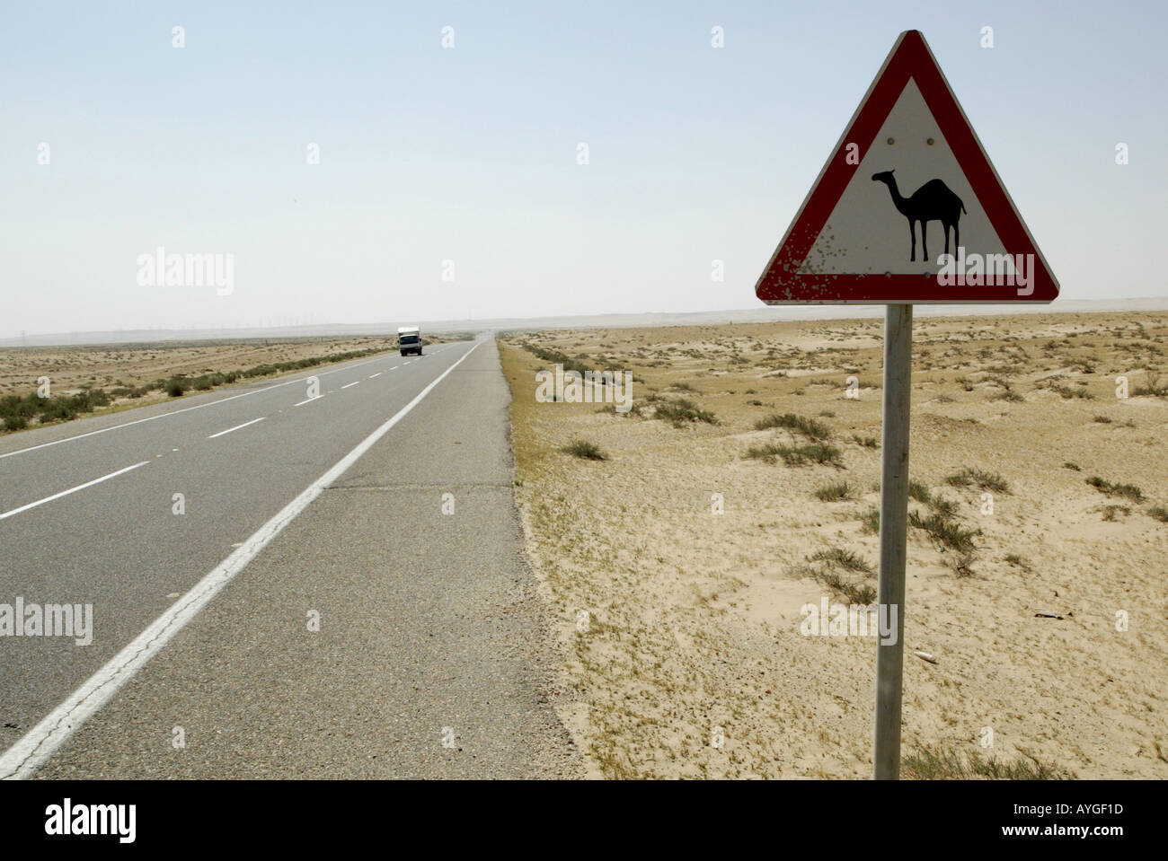 Sign warning of a camel crossing in the desert of northern Kuwait near ...