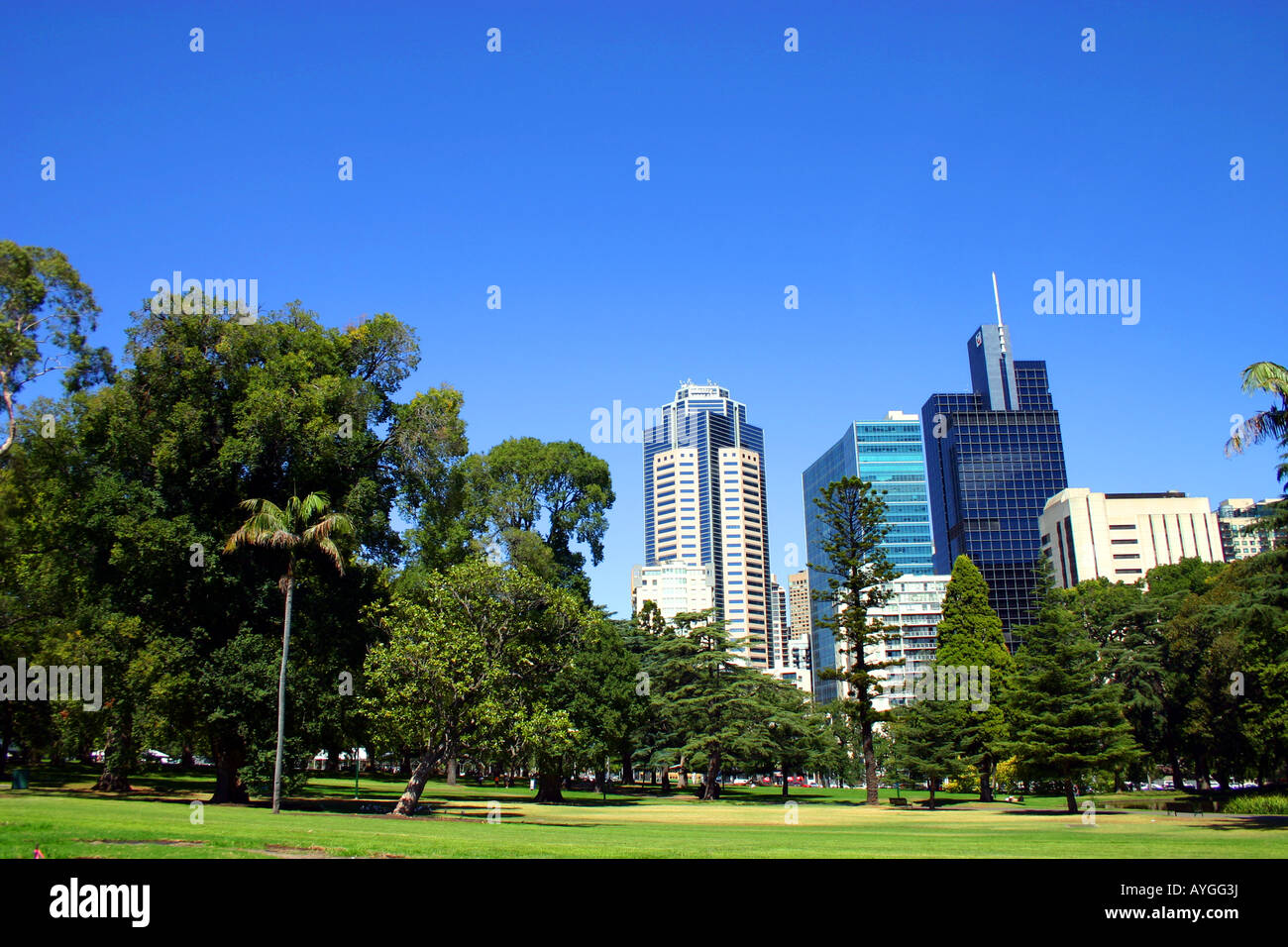 Melbourne,, city,, building,, Australia,, cityscape,, skyline ...