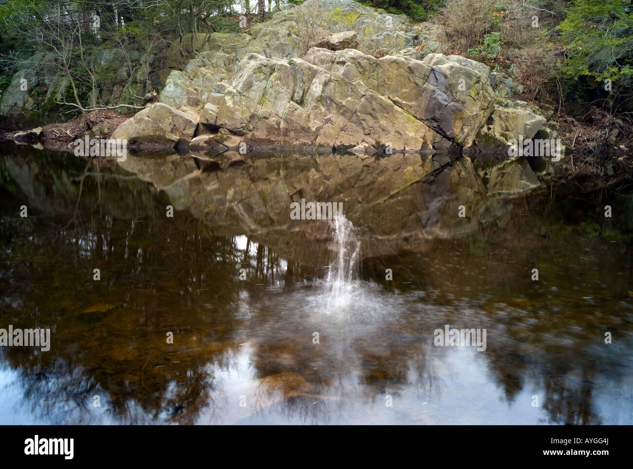 A still pond with a splash of water from a thrown rock in Hamden ...
