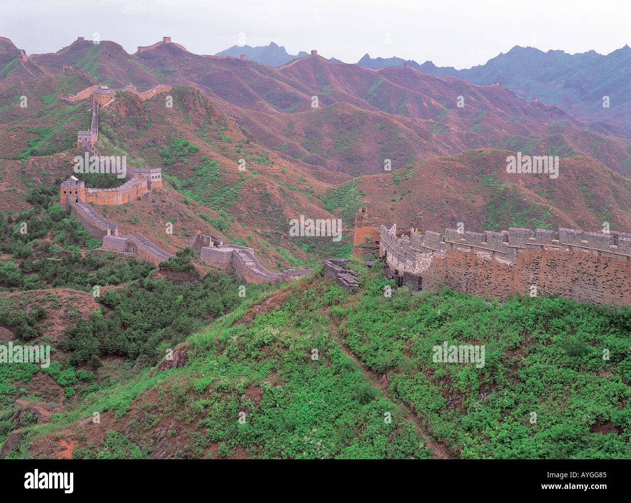 Great Wall of China Greens Stock Photo - Alamy