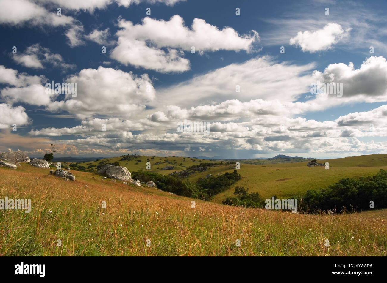 Nyika hi-res stock photography and images - Alamy