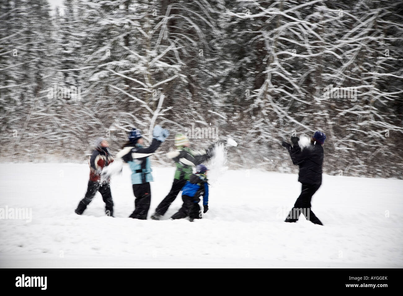 Snowballfight High Resolution Stock Photography and Images - Alamy