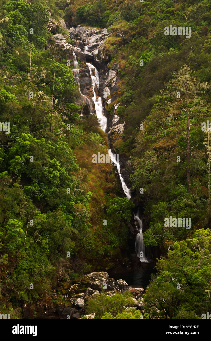 Madzika hi-res stock photography and images - Alamy