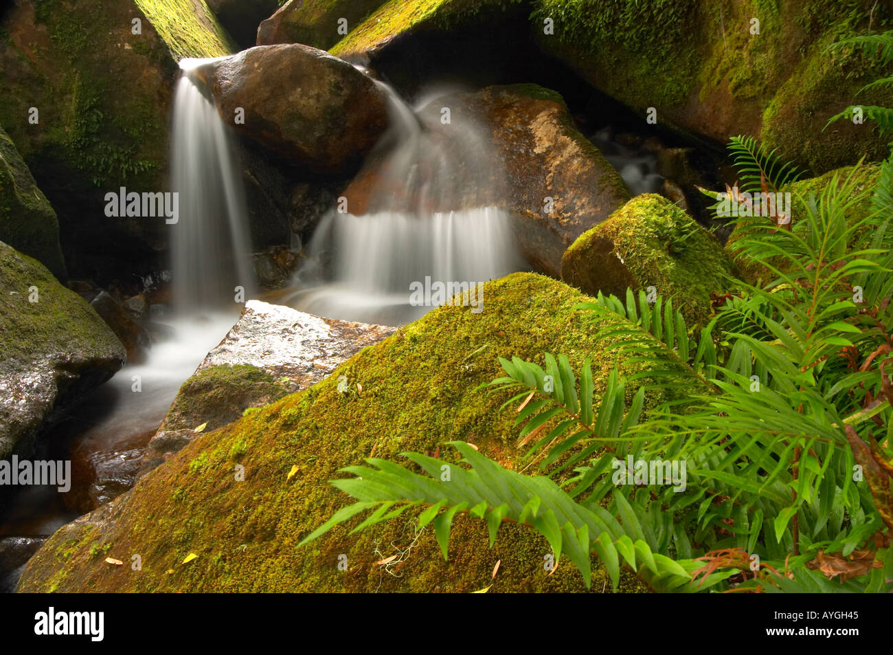 Tranquil water cascade hi-res stock photography and images - Alamy