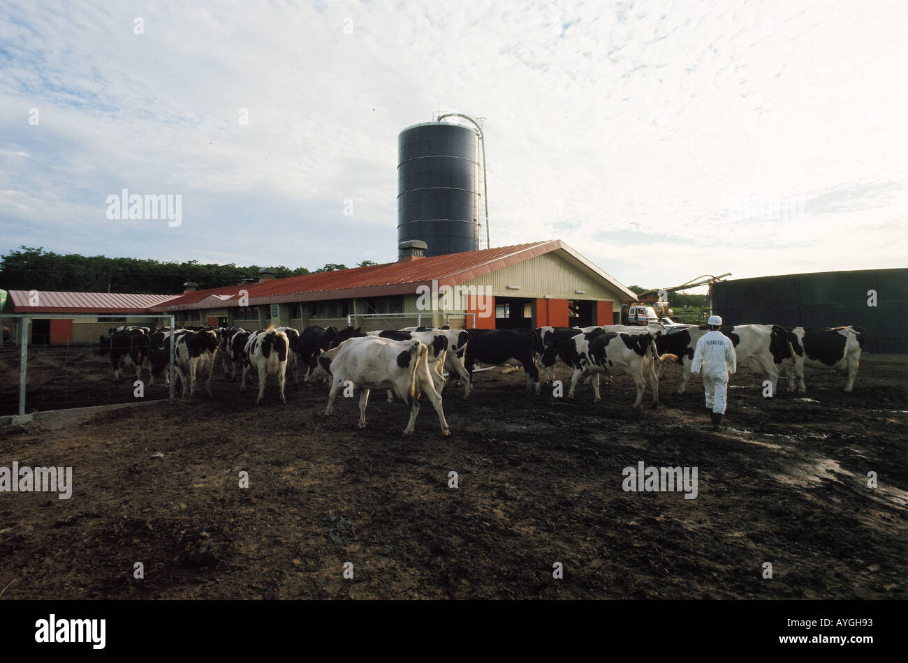 Farm with Animals Stock Photo - Alamy
