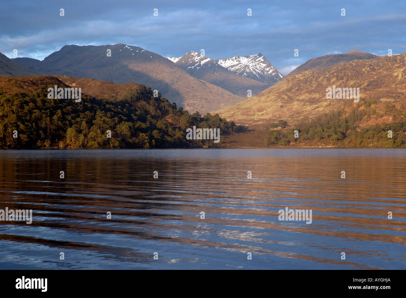 Loch arkaig forest hi-res stock photography and images - Alamy