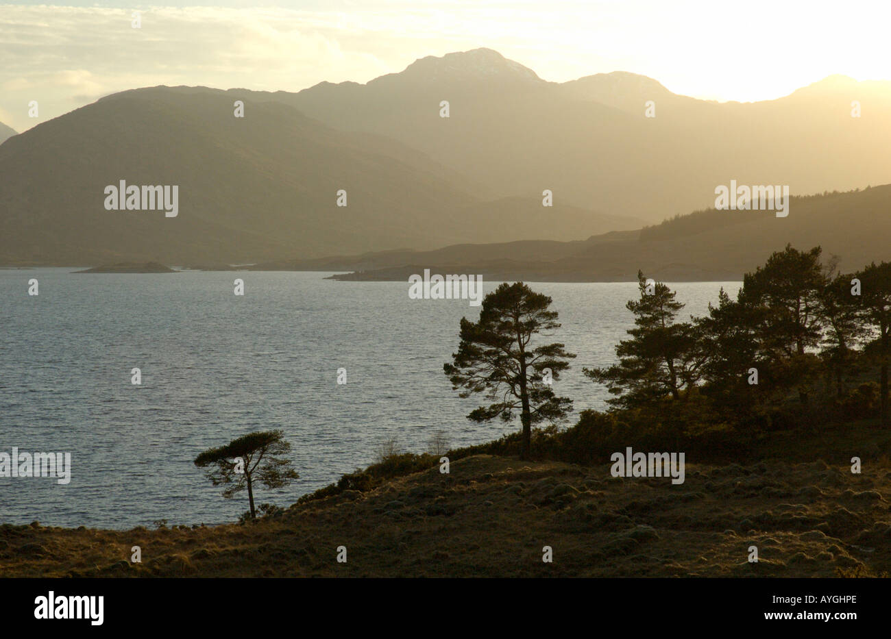 Loch quoich hi-res stock photography and images - Alamy