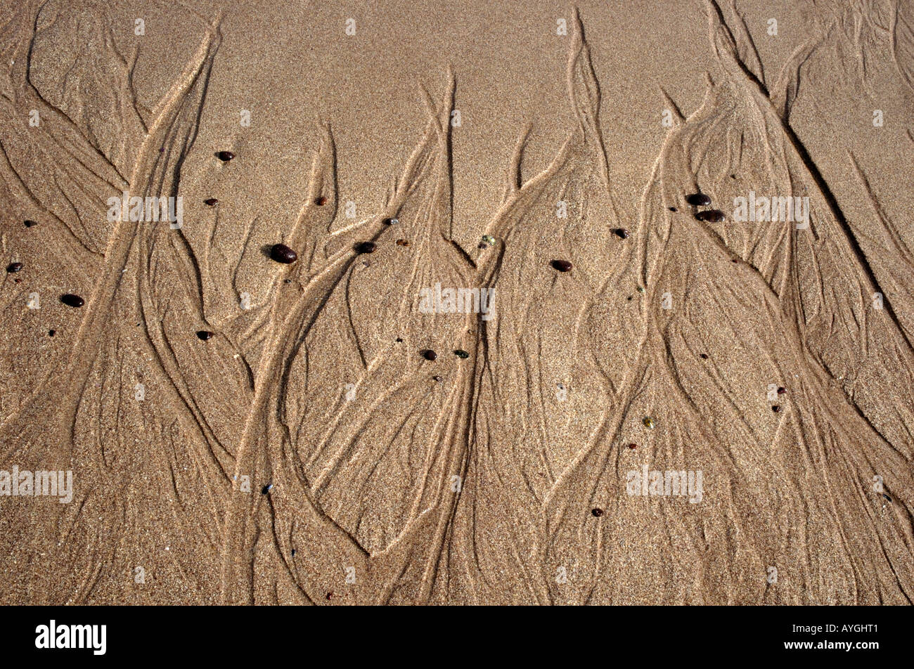 Water channels on beach Sandwood Bay Scotland Stock Photo - Alamy