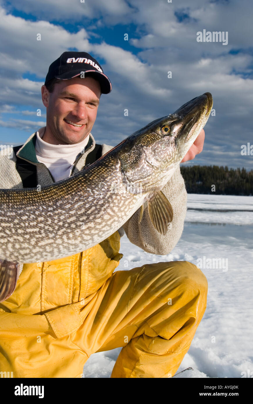 man holds big northern pike Stock Photo - Alamy