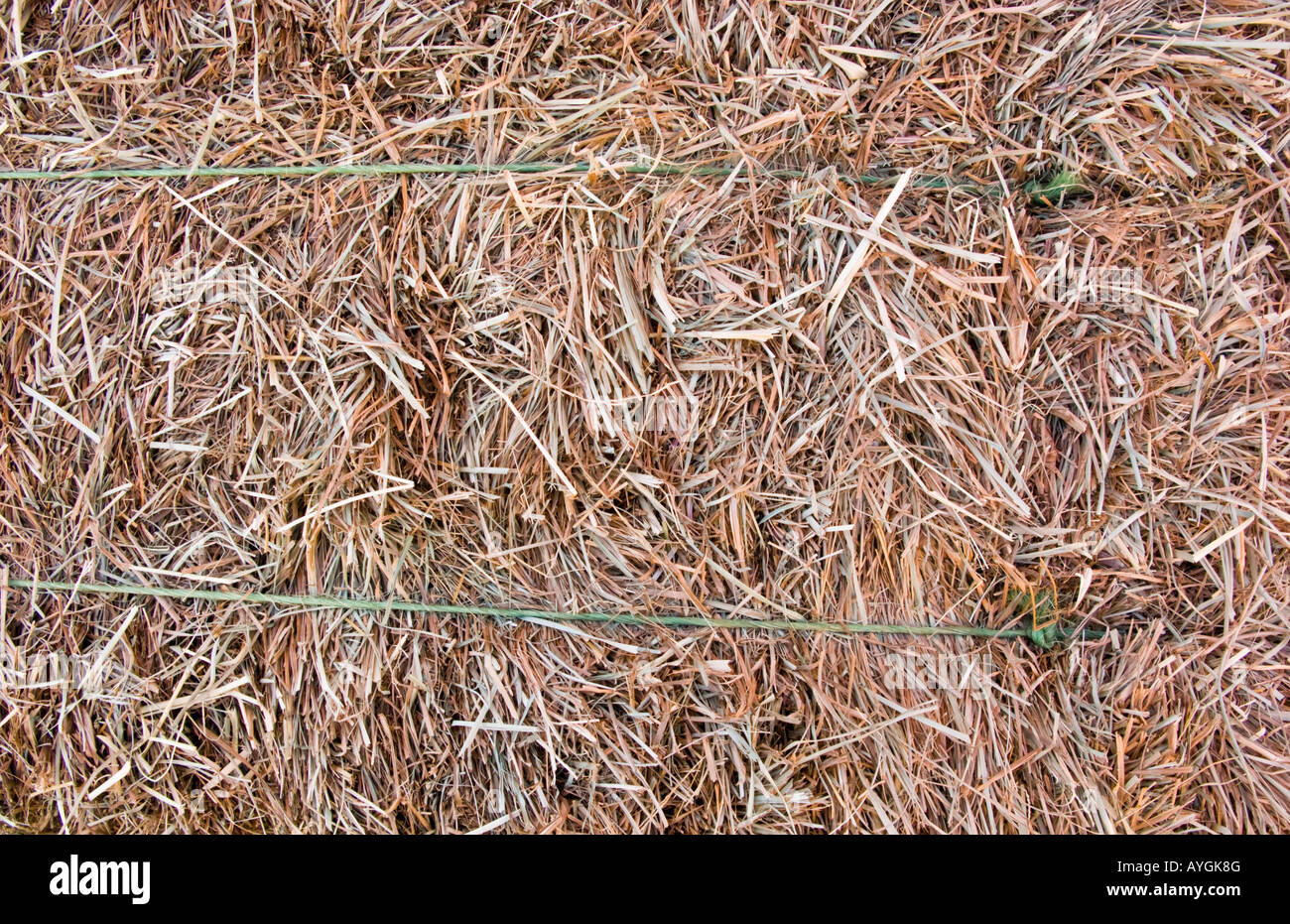 Closeup of hay bale hi-res stock photography and images - Alamy