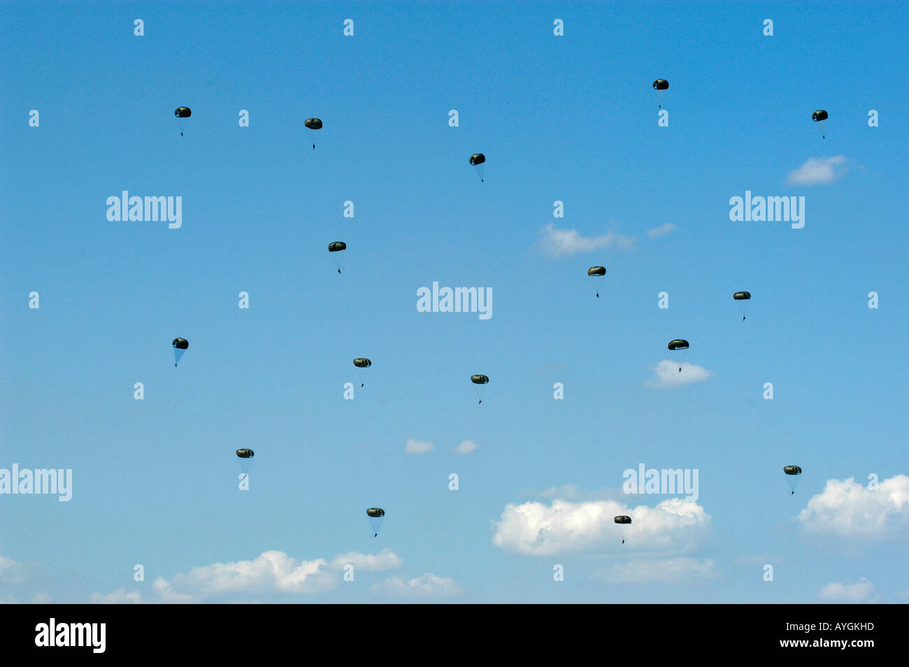 Marines parachute jump hi-res stock photography and images - Alamy