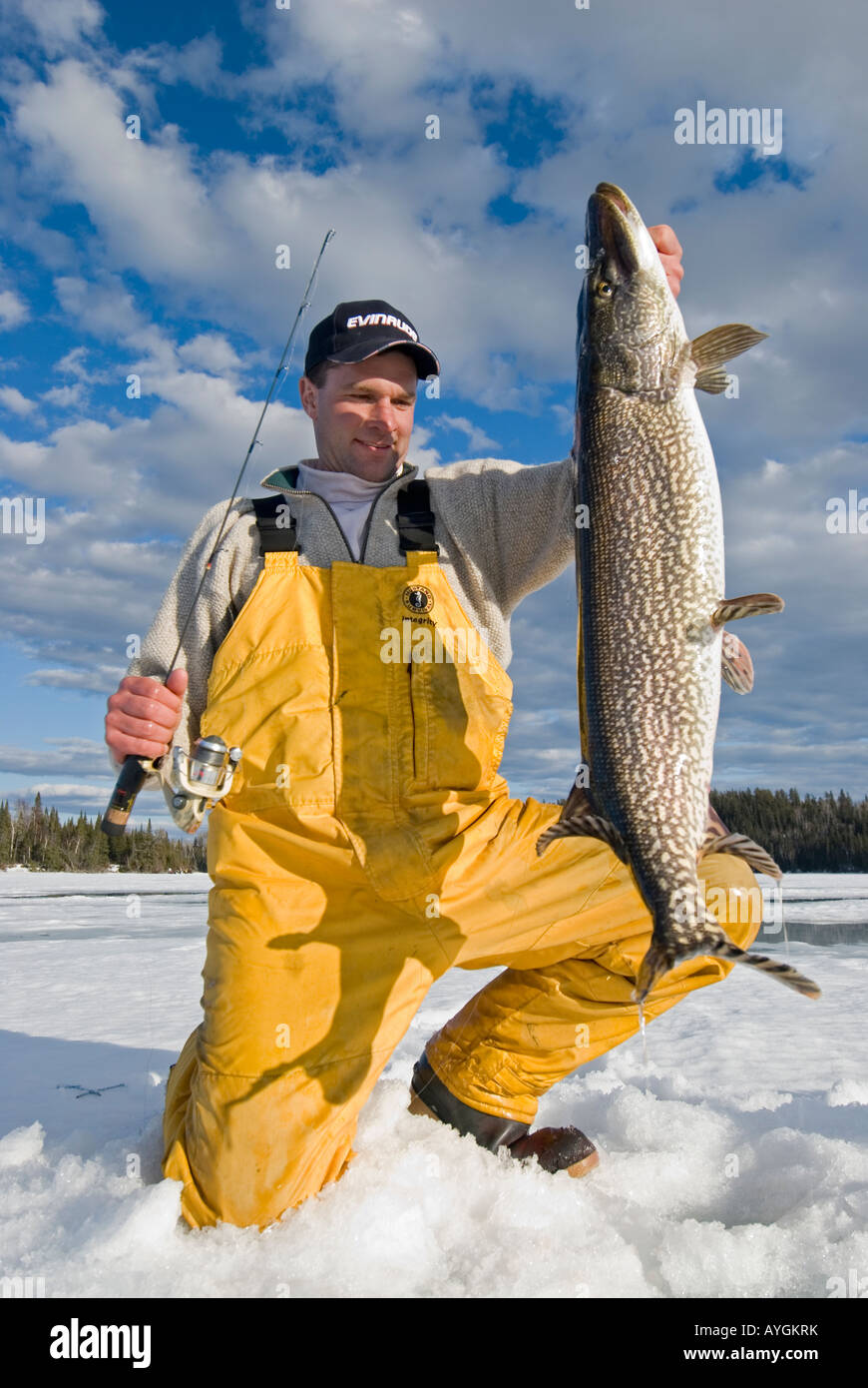 man hoists winter pike Stock Photo - Alamy