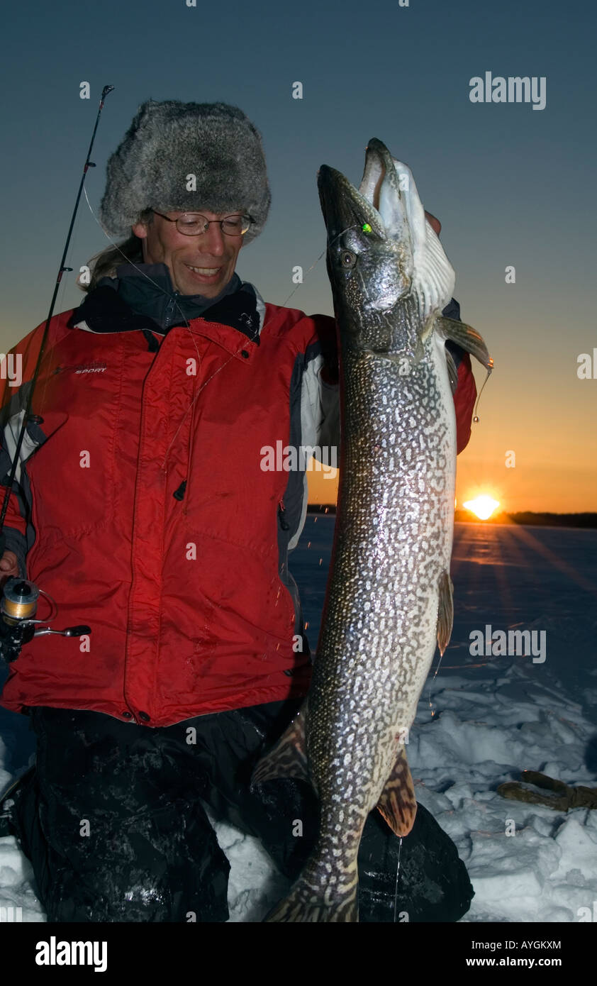 Ice fishing man with trophy northern pike Stock Photo - Alamy