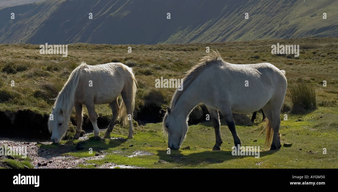 Breacon beacon hi-res stock photography and images - Alamy