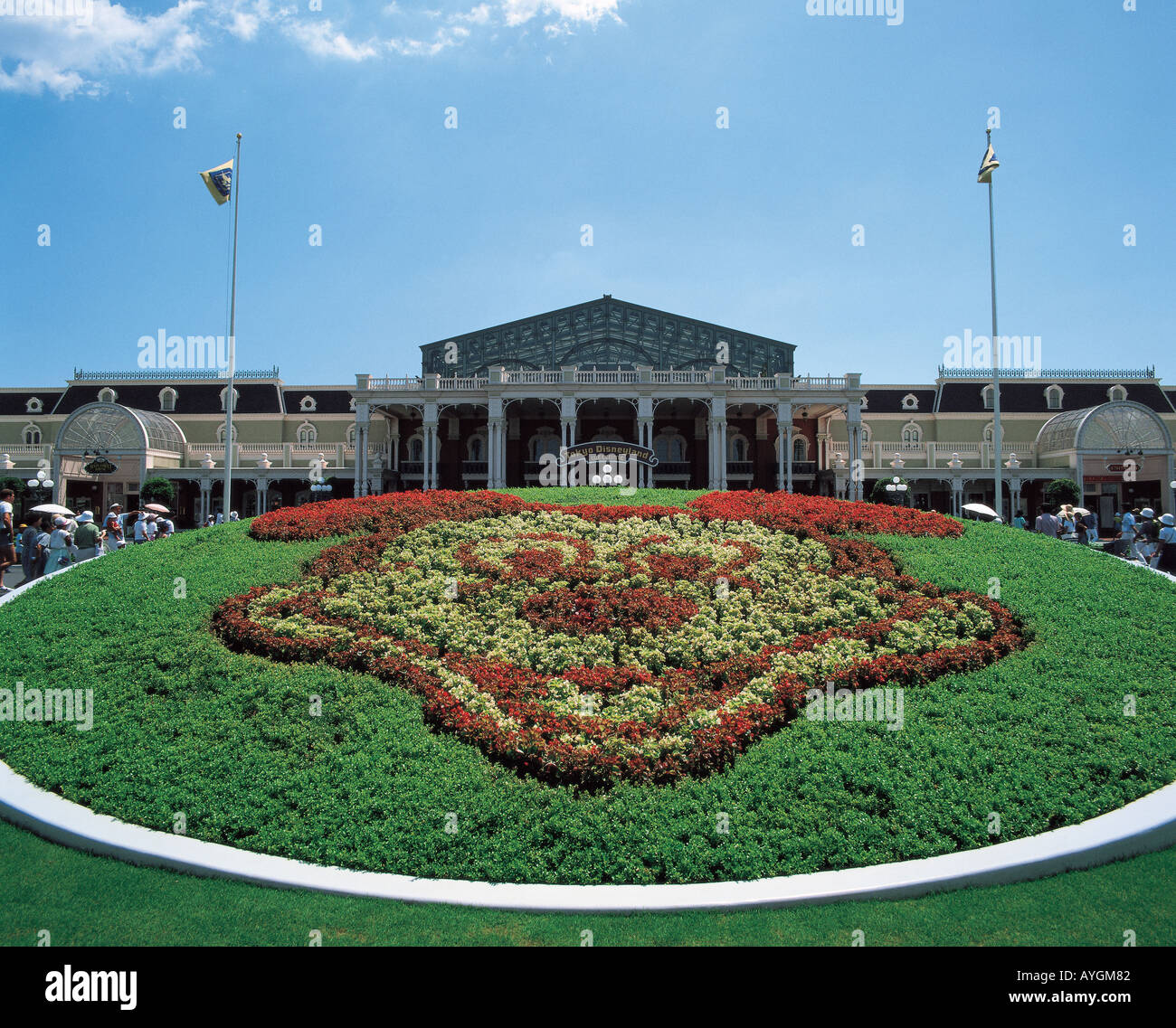Mickey mouse plants hi-res stock photography and images - Alamy