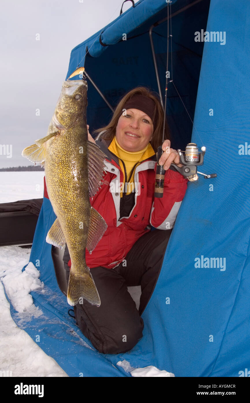 Attractive woman catches walleye in winter Stock Photo - Alamy