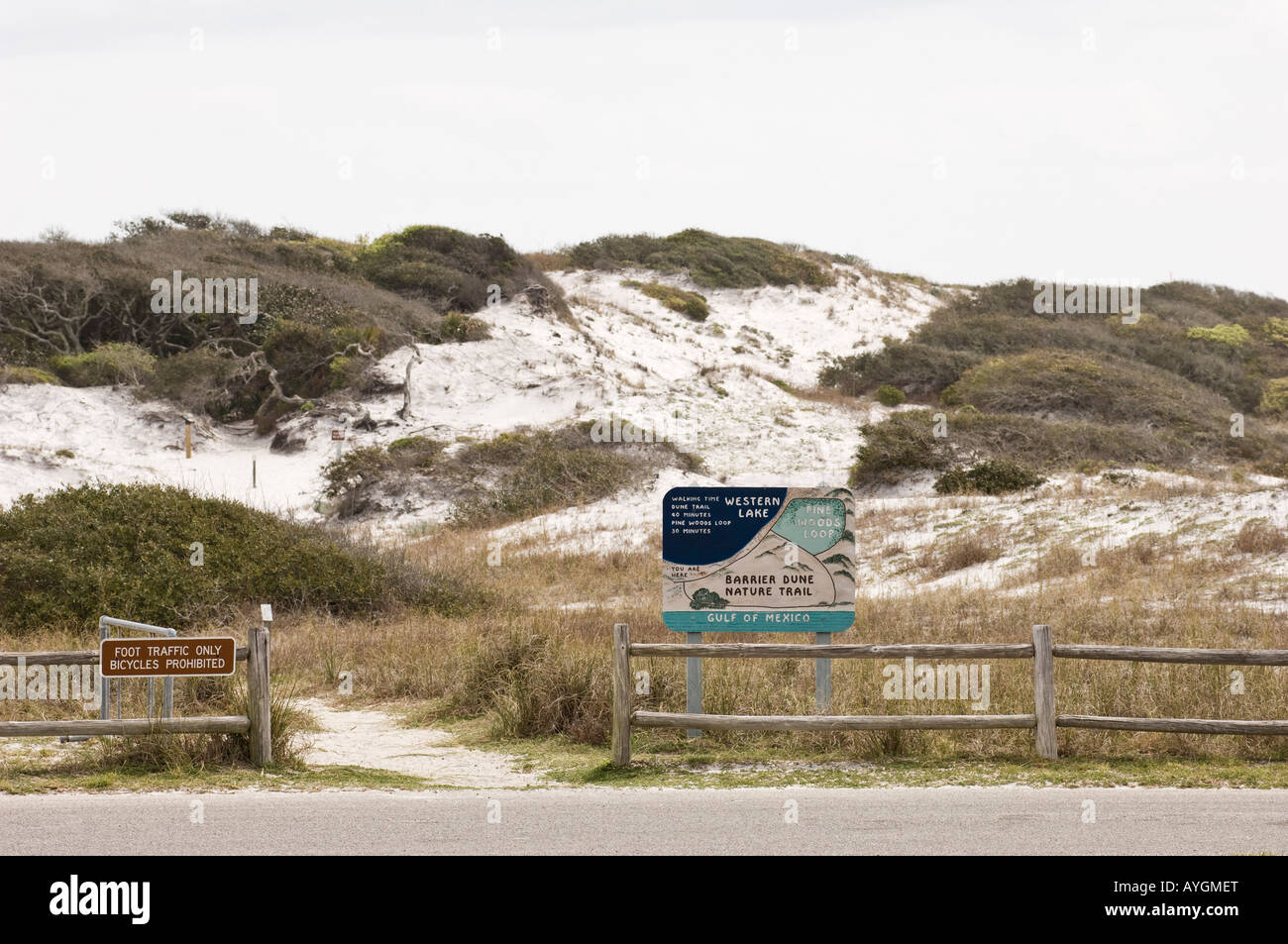 Grayton Beach State Park Florida sand dunes Stock Photo - Alamy