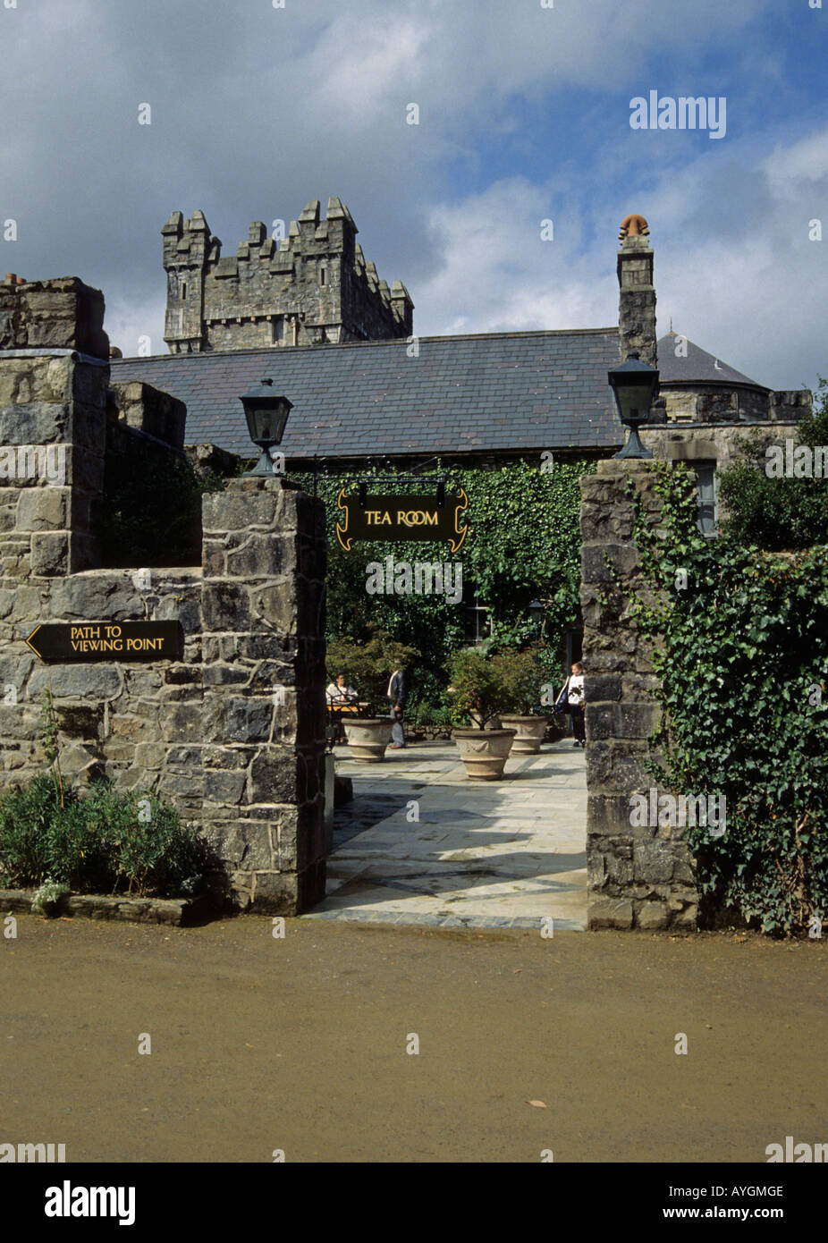 Beagh castle hi-res stock photography and images - Alamy
