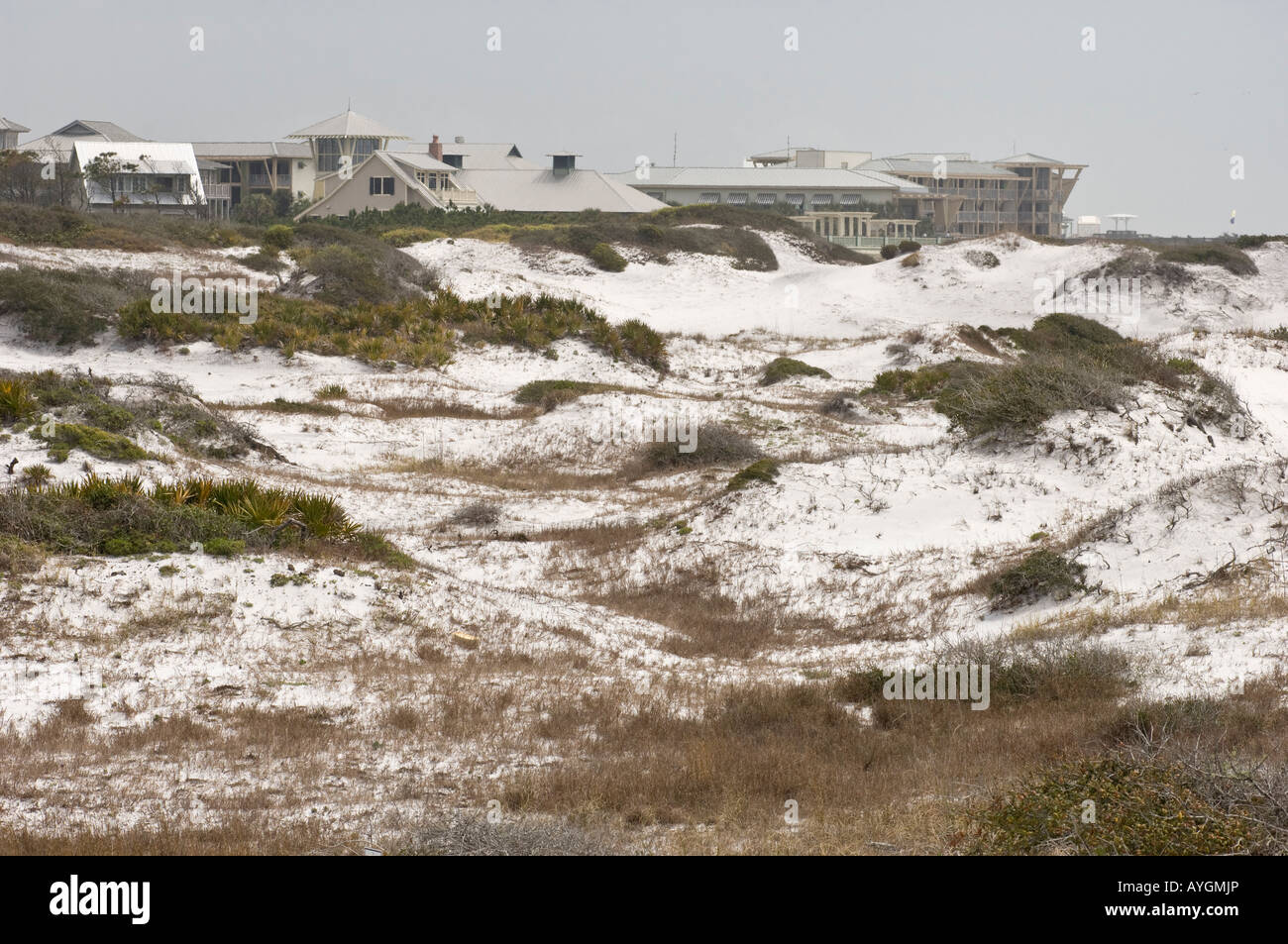 Grayton Beach State Park Florida sand dunes Stock Photo - Alamy