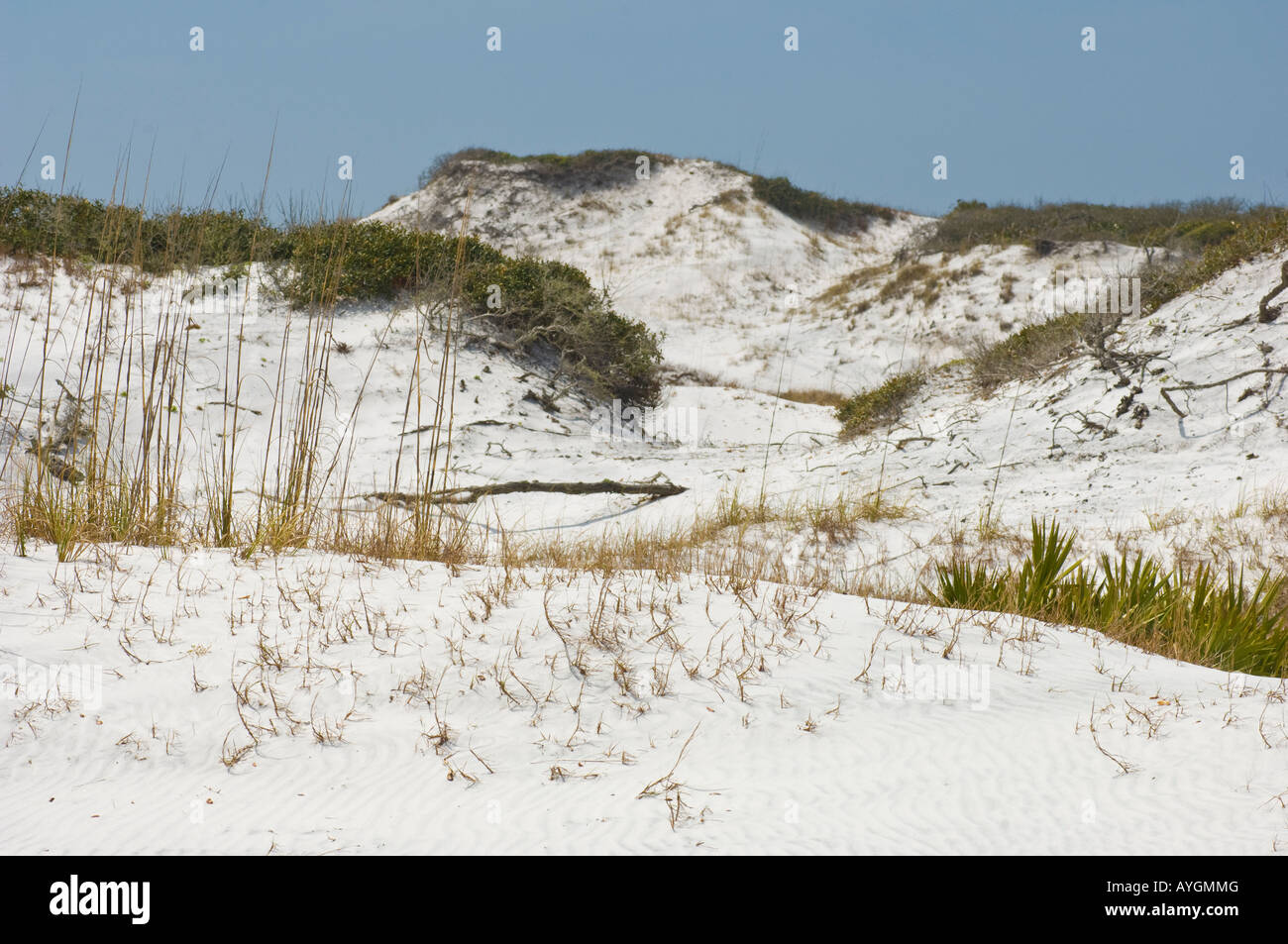 Grayton Beach State Park Florida sand dunes Stock Photo - Alamy