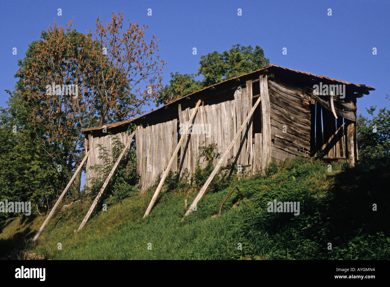 Decay supported hi-res stock photography and images - Alamy