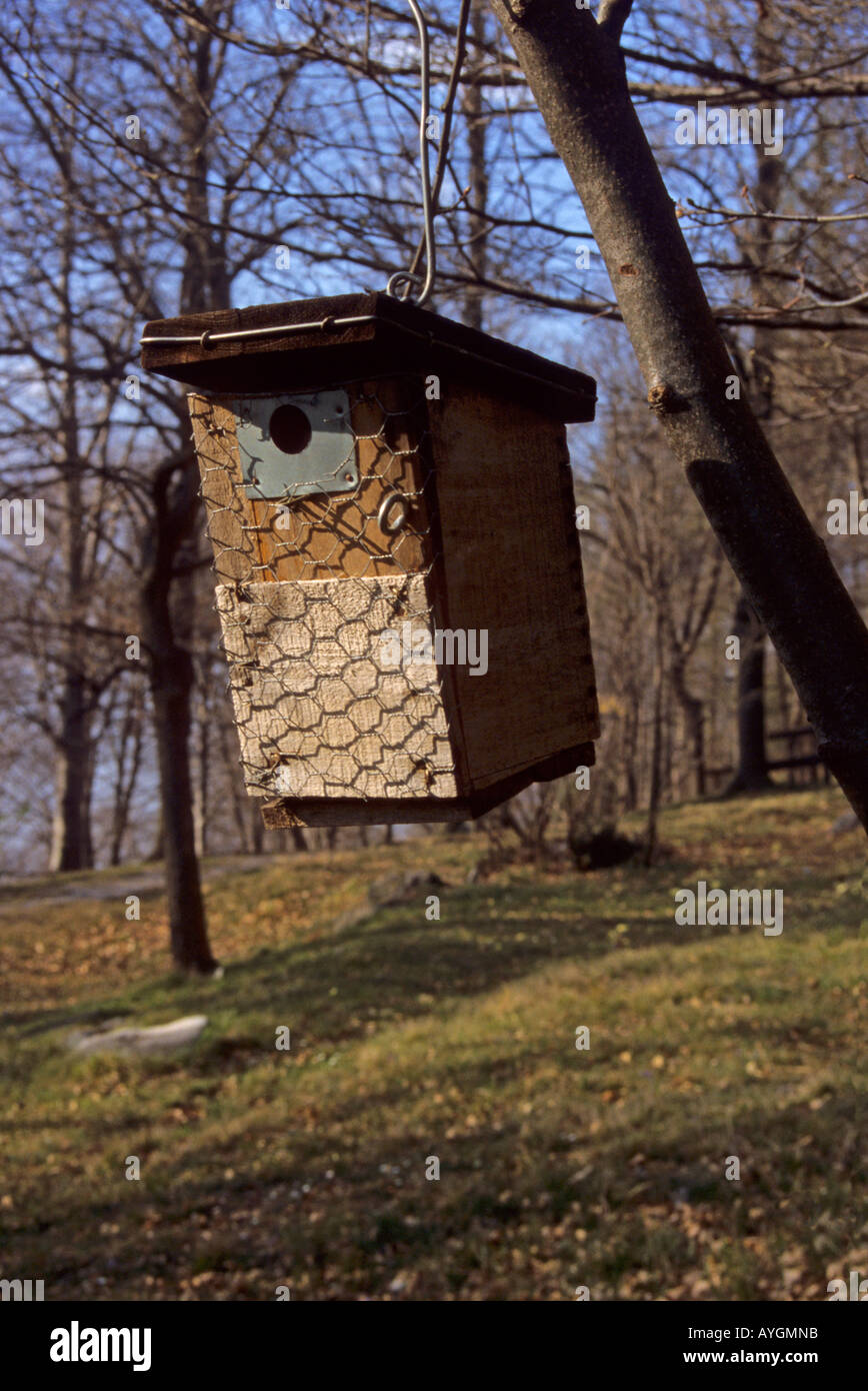 Birdbox in woodland hi-res stock photography and images - Alamy