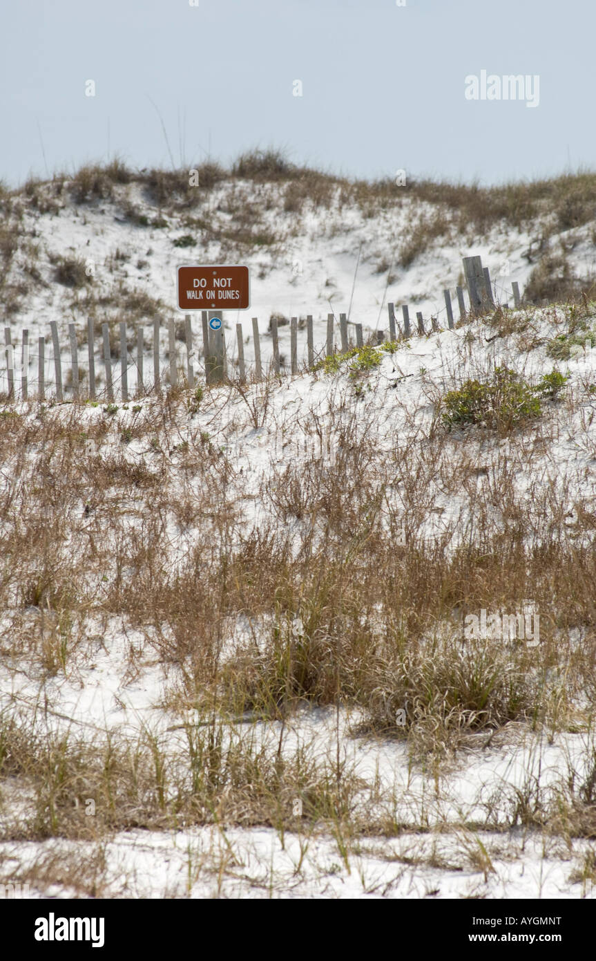 Grayton Beach State Park Florida sand dunes Stock Photo - Alamy
