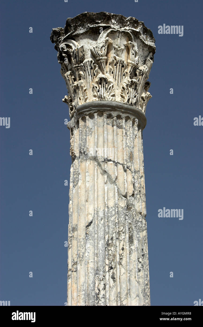 Decorative fluted column Carthage ruins Tunisia Stock Photo - Alamy