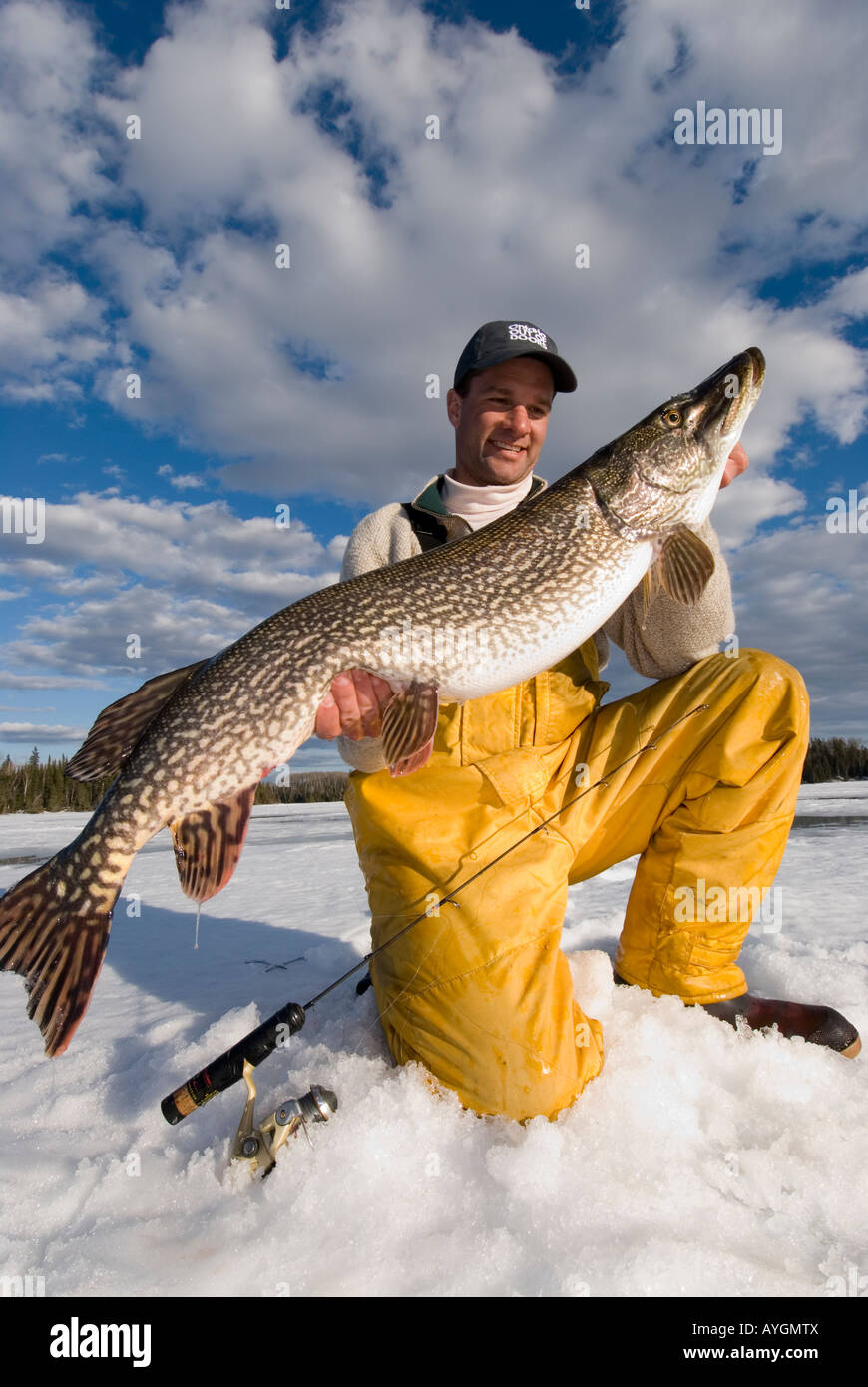 man holds big northern pike Stock Photo - Alamy